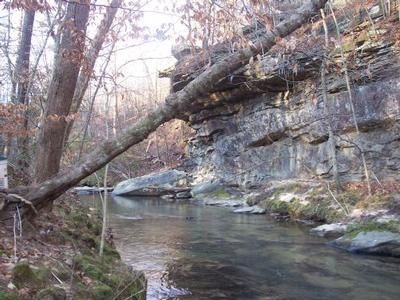147 acres in Winston County, Alabama