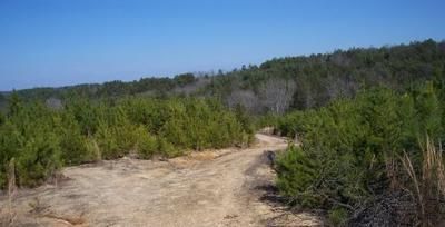 80 acres in Winston County, Alabama