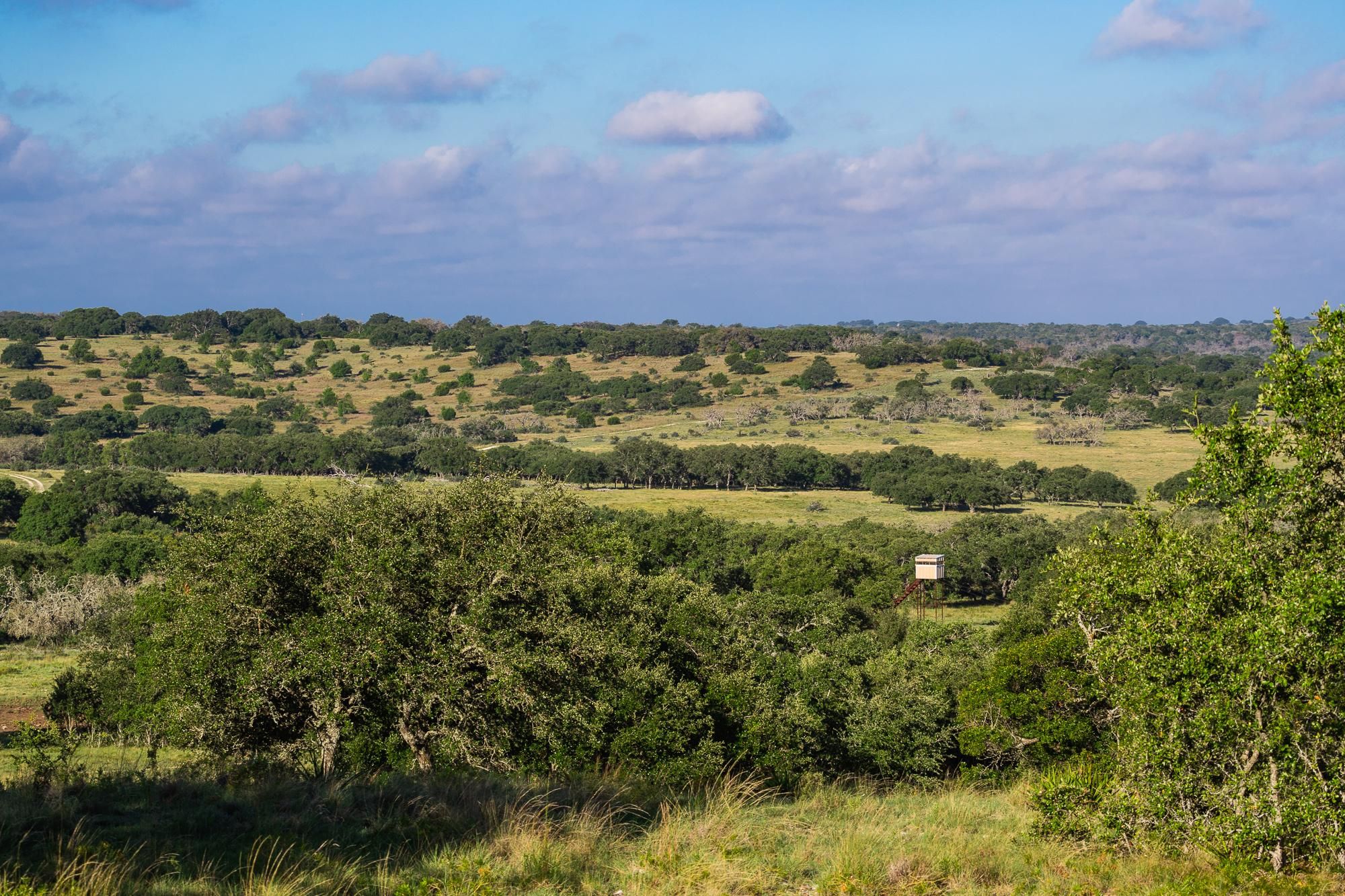 Doss-Spring Creek Road, Doss, TX 78618 | Land.com