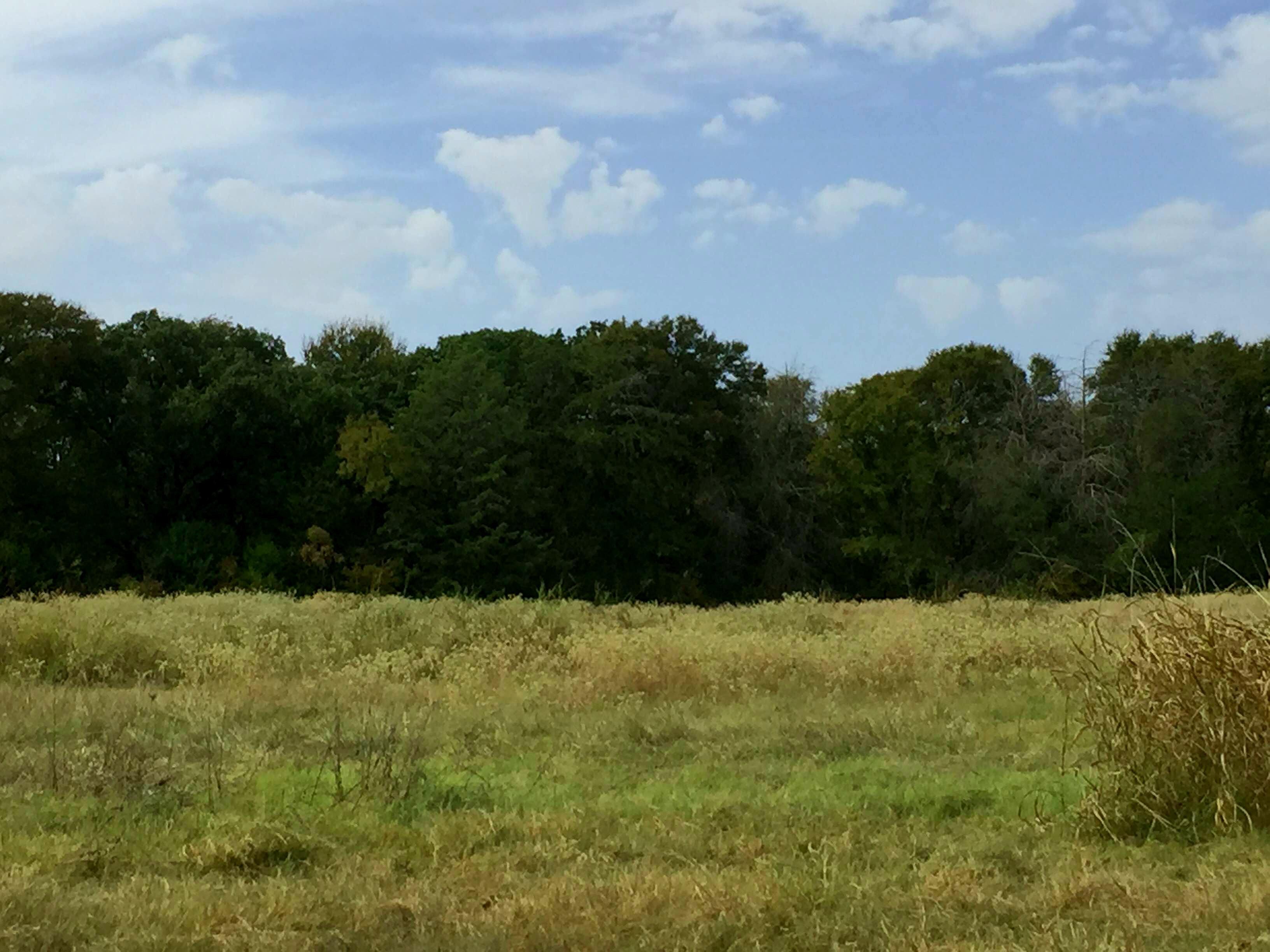County Road 1402, Point, TX 75472 | Land.com