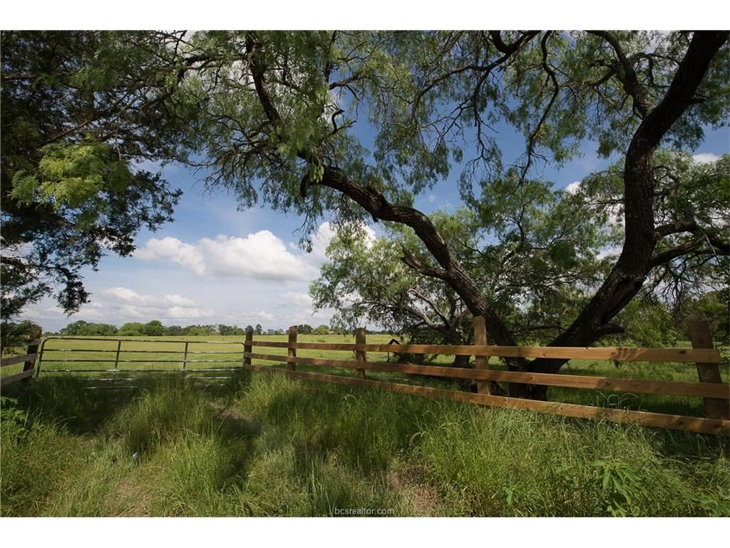 33.35 acres in Madison County, Texas