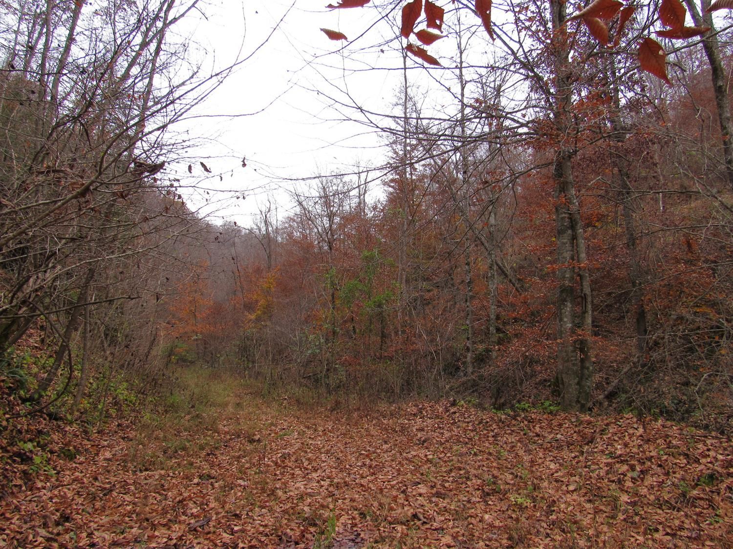 365 acres in Owsley County, Kentucky