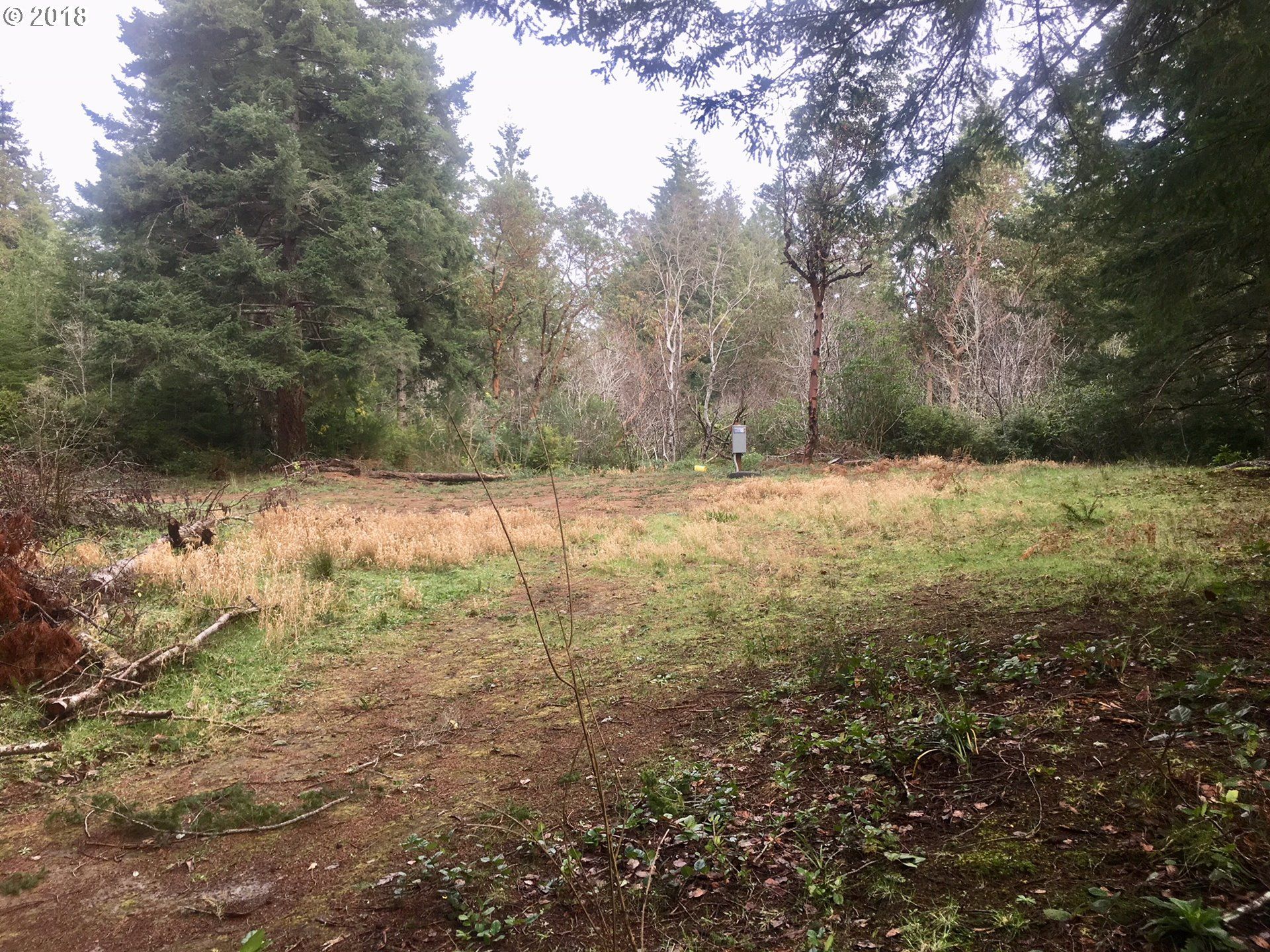 2.85 acres in Coos County, Oregon