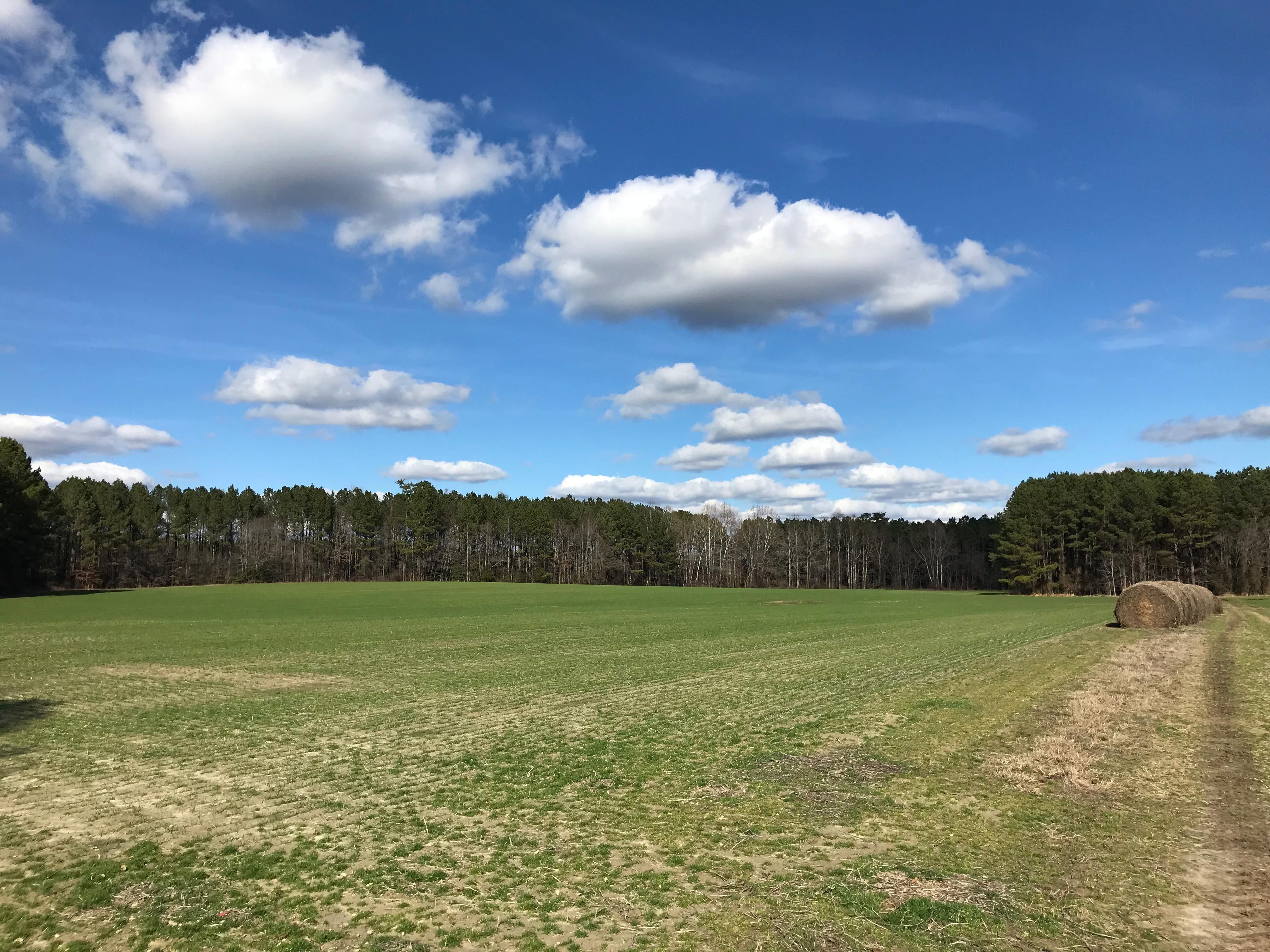 710 acres in Capron, VA, 23829 | Land.com