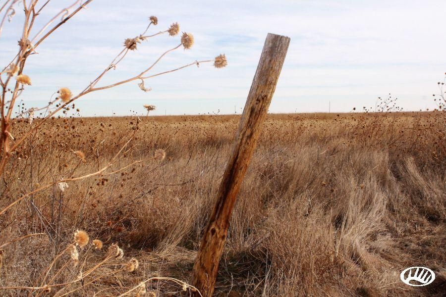 Road 20, Rolla, KS 67954 | Land.com