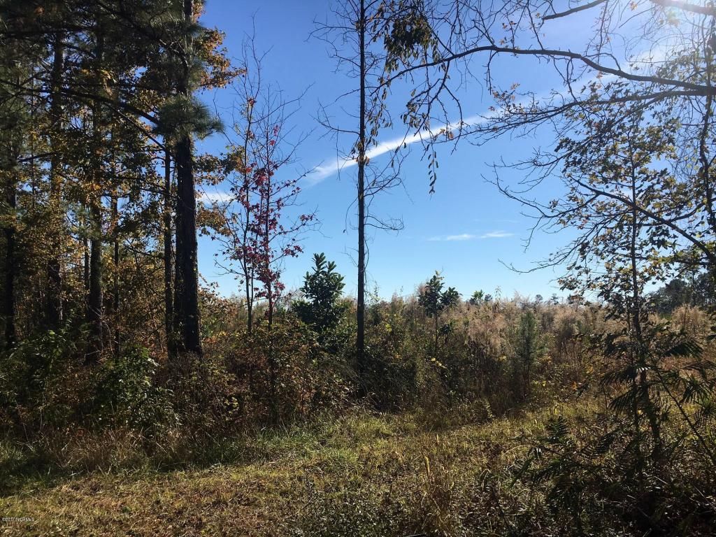 1755 Maco Rd NE, Leland, NC 28451 | MLS: 100090514 | Land.com