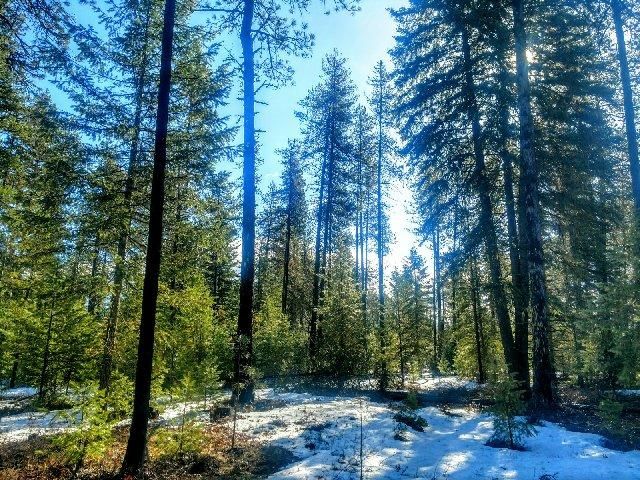 3 acres in Sanders County, Montana