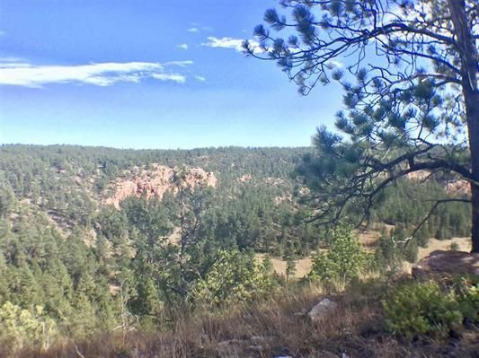 TBD Boyles Road, Custer, SD 57747 | MLS: 56229 | Land.com