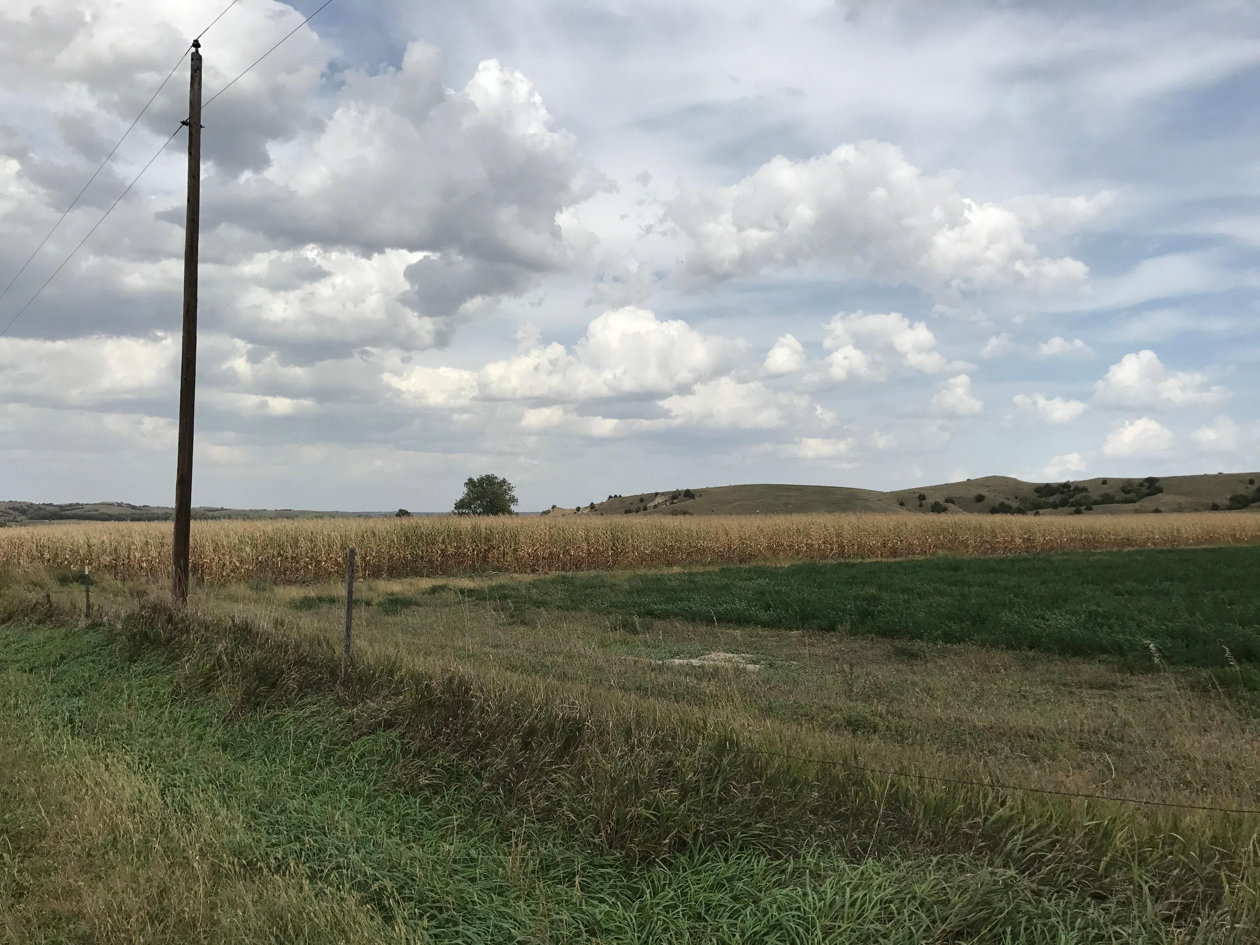 80 acres in Callaway, NE, 68825 | Land.com
