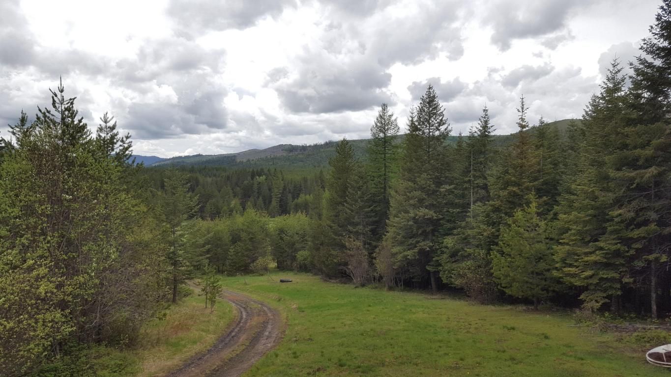 10 acres in Benewah County, Idaho