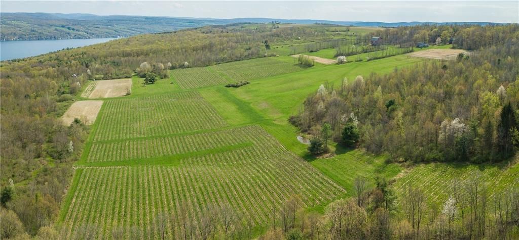 240 acres in Yates County, New York