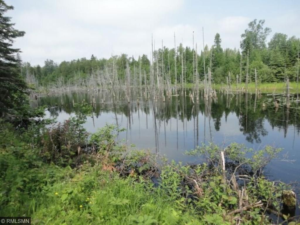 120 acres in Lake County, Minnesota