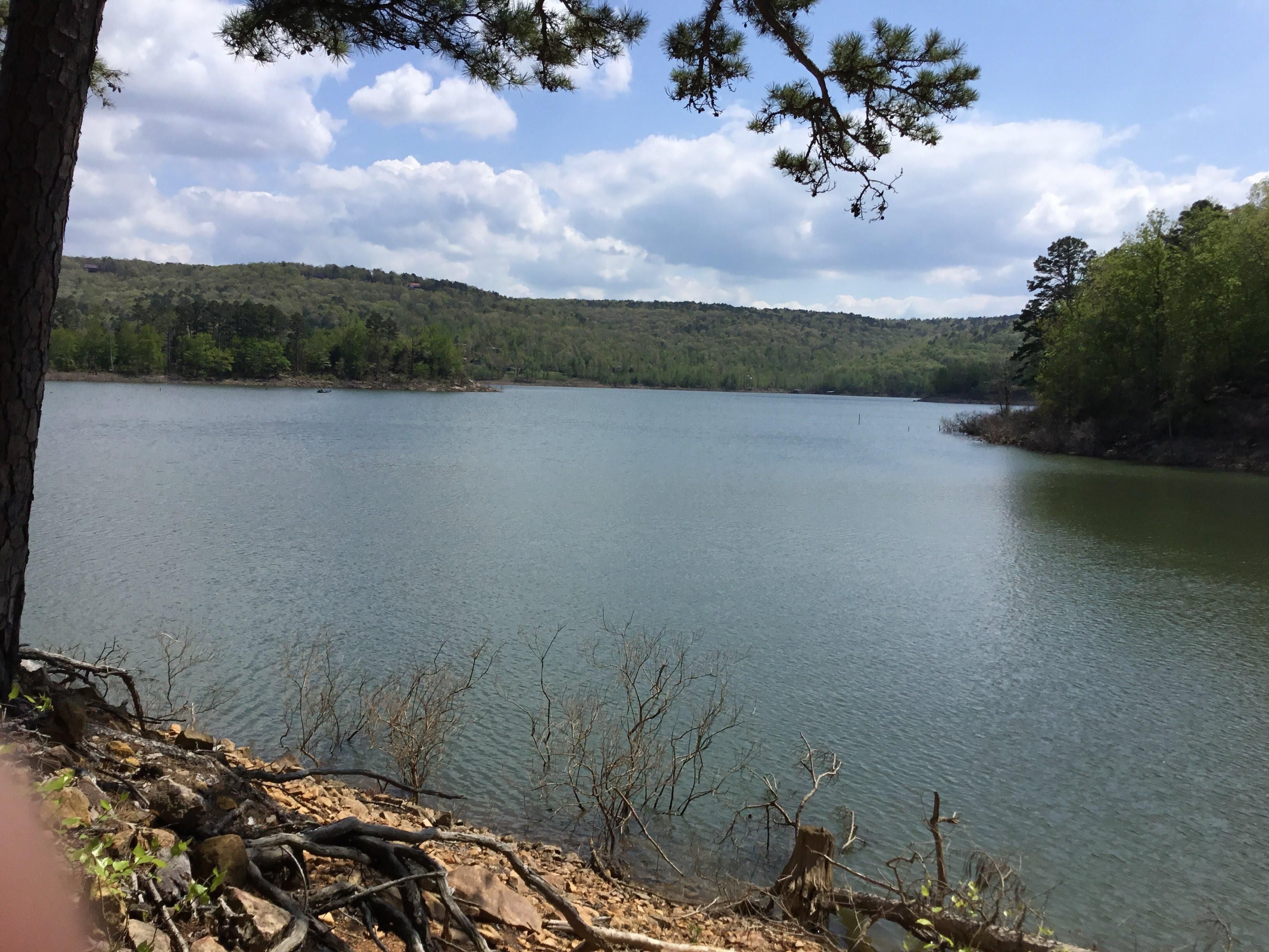 181.9 acres in Wilburn, AR, 72179 | Land.com