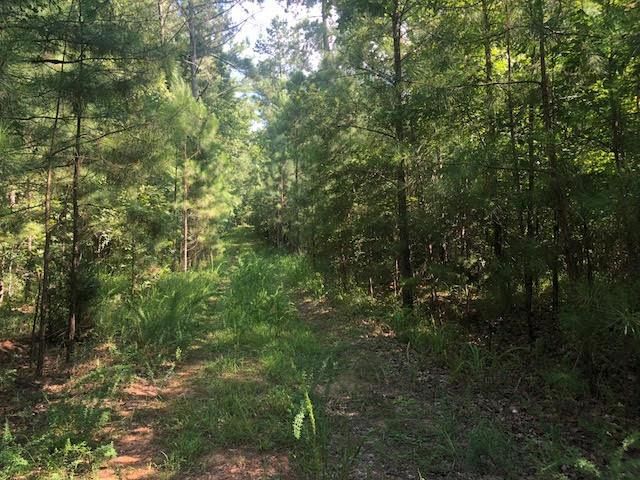 Water Tank Road, Crawfordville, GA 30631 | Land.com