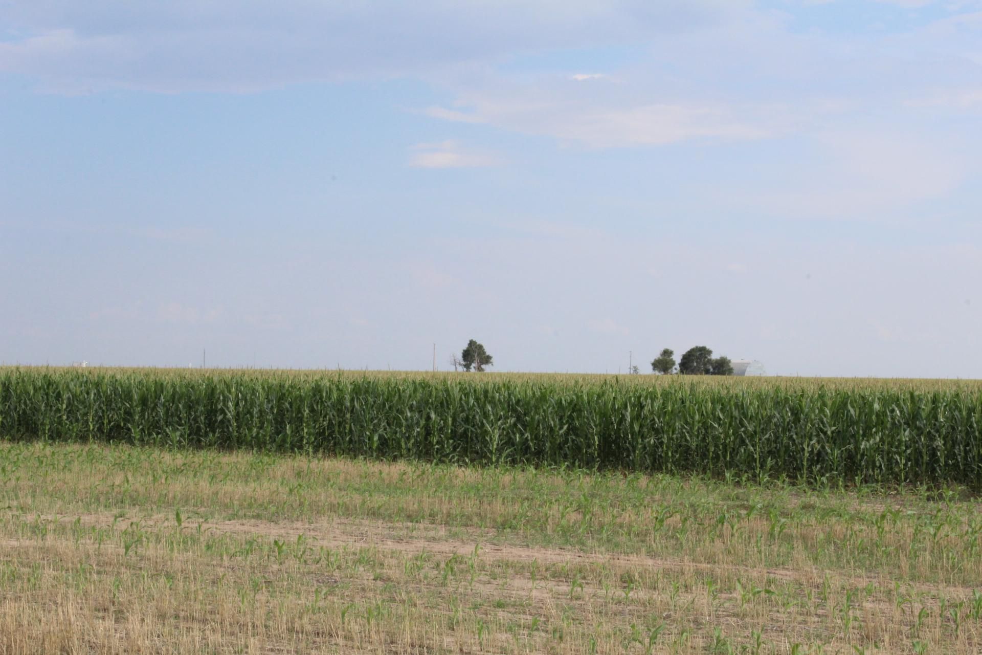 2,780 acres in Baca County, Colorado