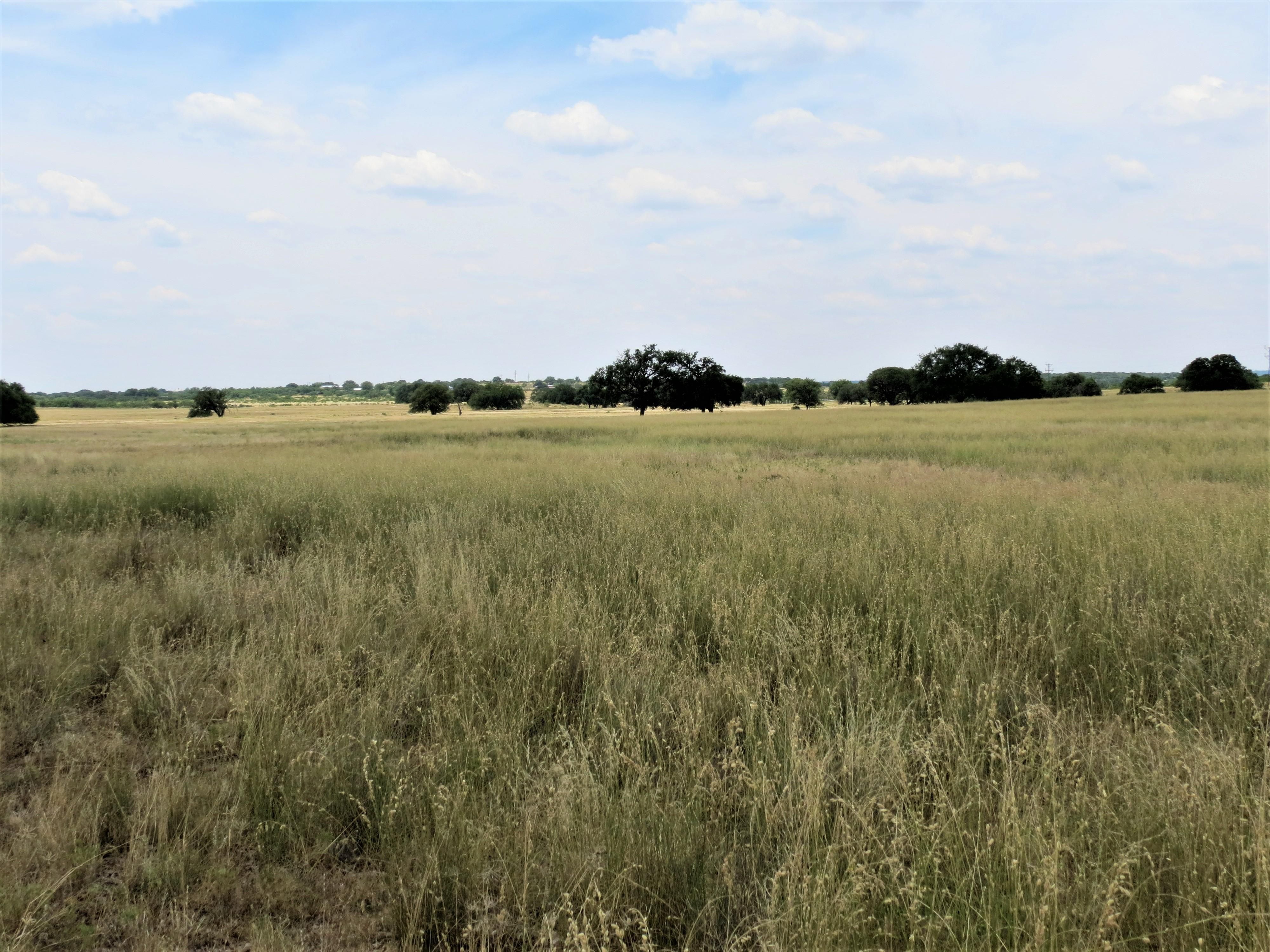 348 Blau Lane, Hext, TX 76848 | MLS: 76410 | Land.com