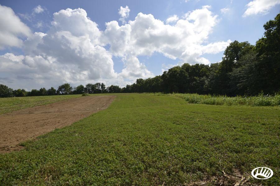128 acres in Fulton County, Illinois