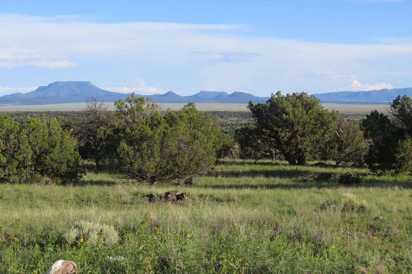 64 acres in Catron County, New Mexico