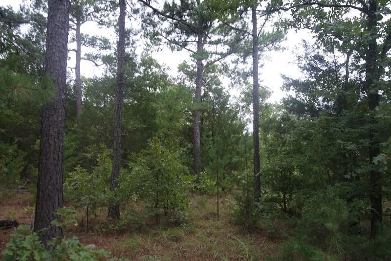 5.16 acres in Wister, OK, 74966 | Land.com