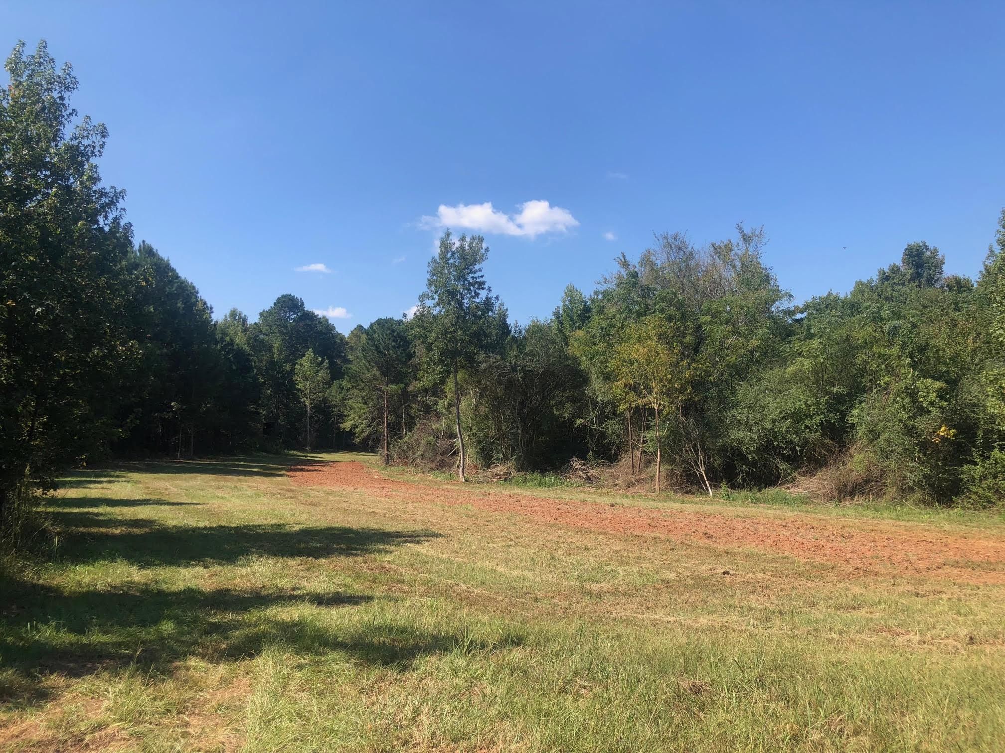 34 acres in Jones County, Georgia