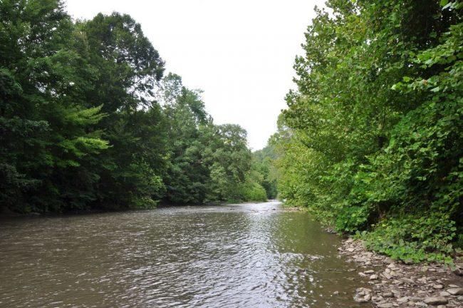 RT 7, Roderfield, WV 24881 | MLS: BROWNS CREEK TIMBERLAND 4398 ACRES ...