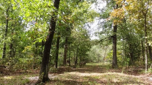 80 acres in Cedar County, Missouri