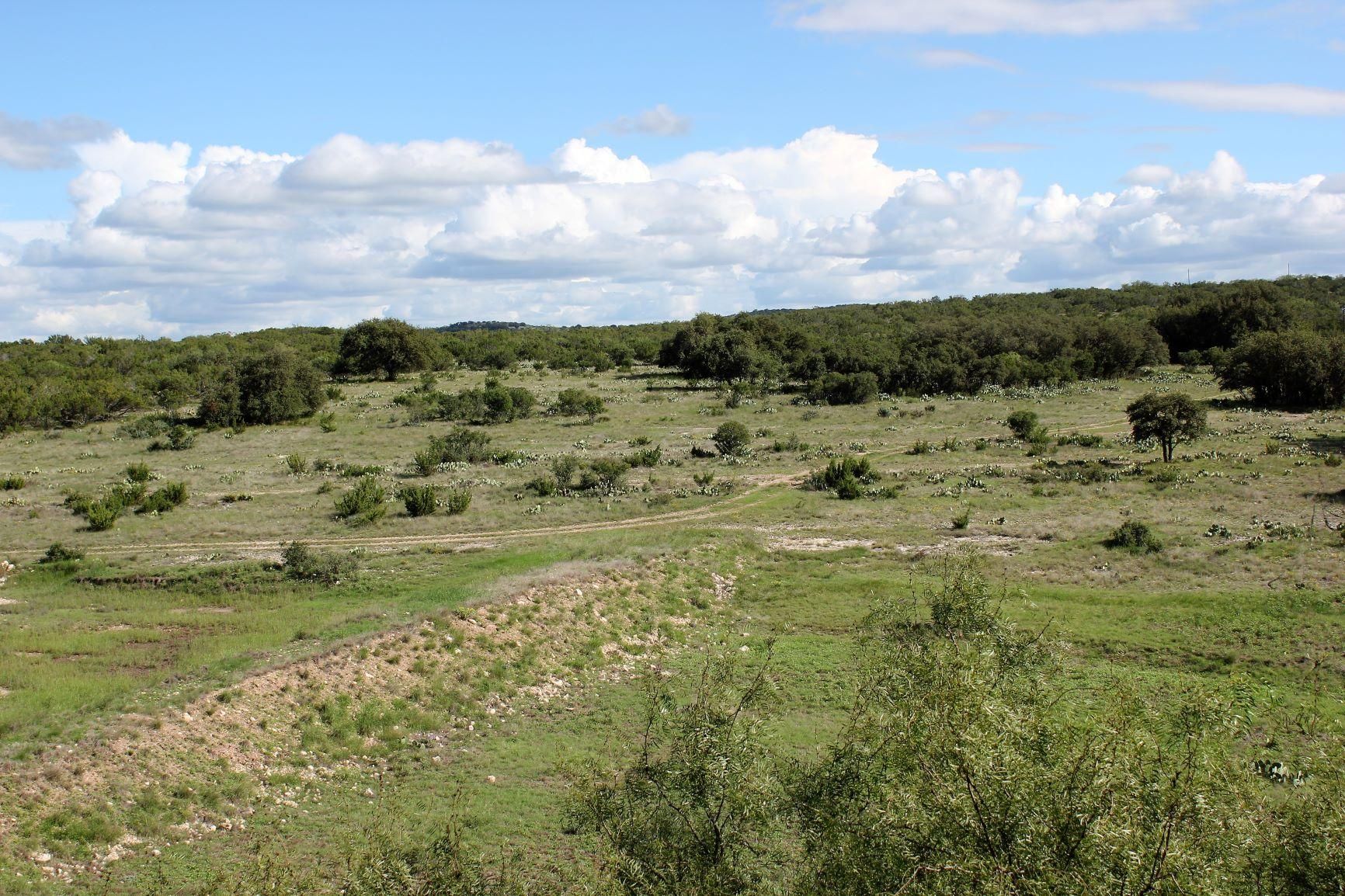 101 acres in Knickerbocker, TX, 76904 | Land.com