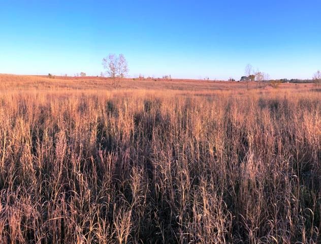 46 acres in Mahaska County, Iowa