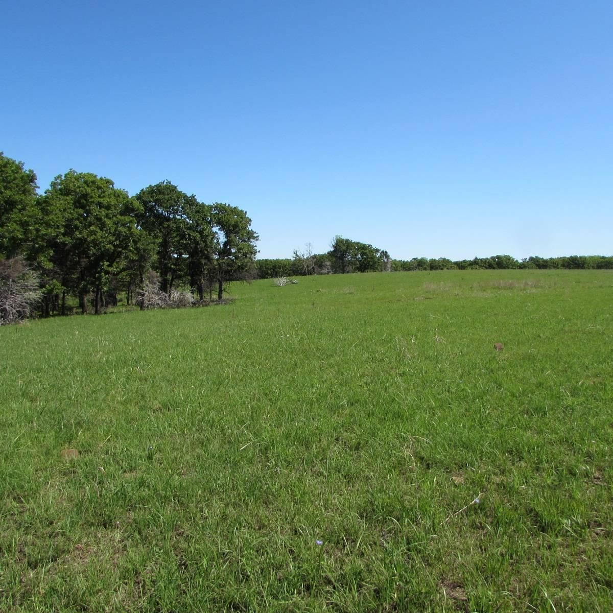 9226 Okesa Rd, Skiatook, OK 74003 | Land.com