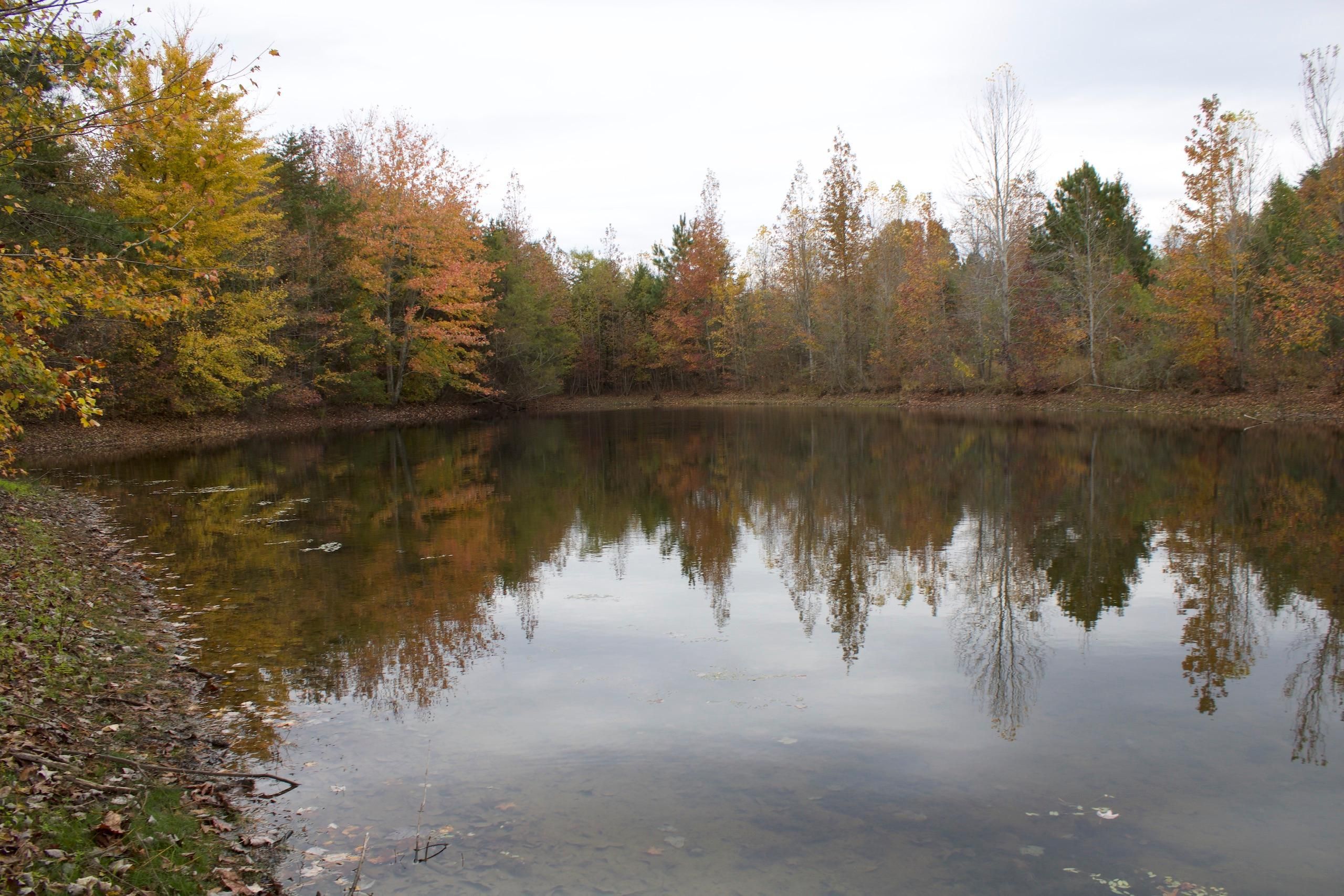 110 acres in Winston County, Alabama