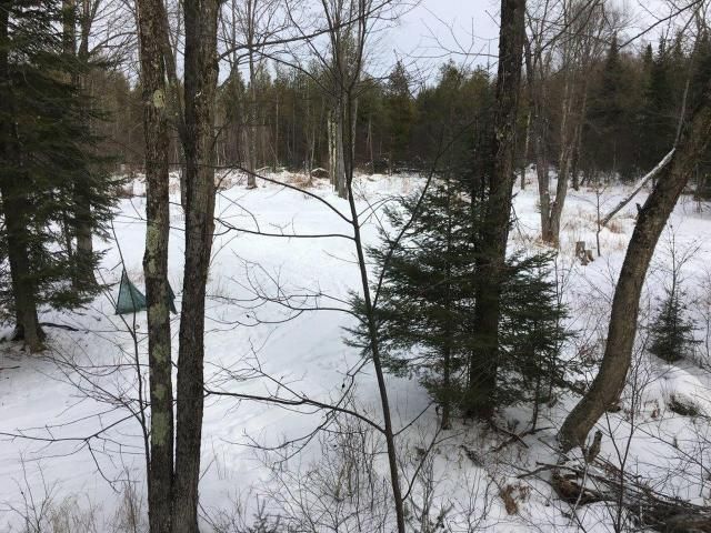 40 acres in Langlade County, Wisconsin