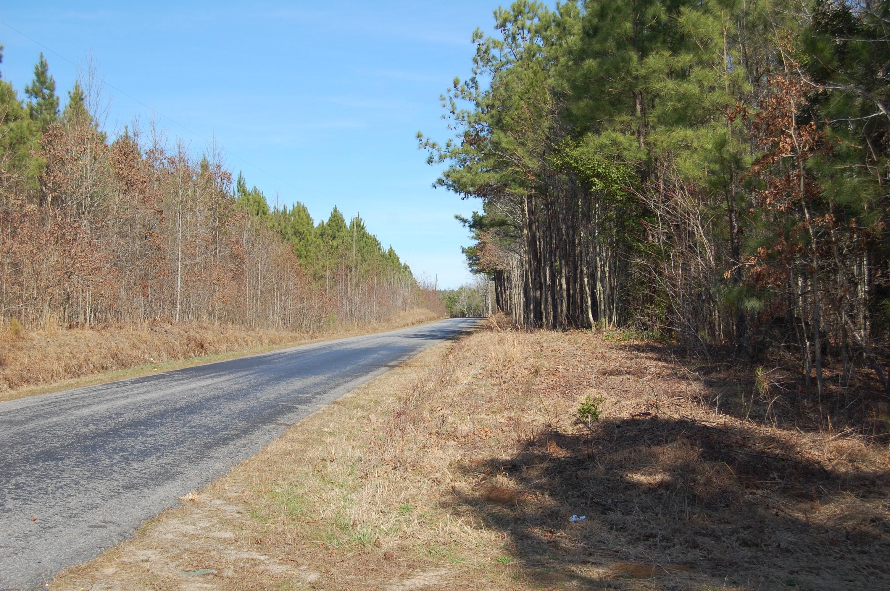 MPT1002- 113+/-acres on VSR634 - Sussex County, VA
