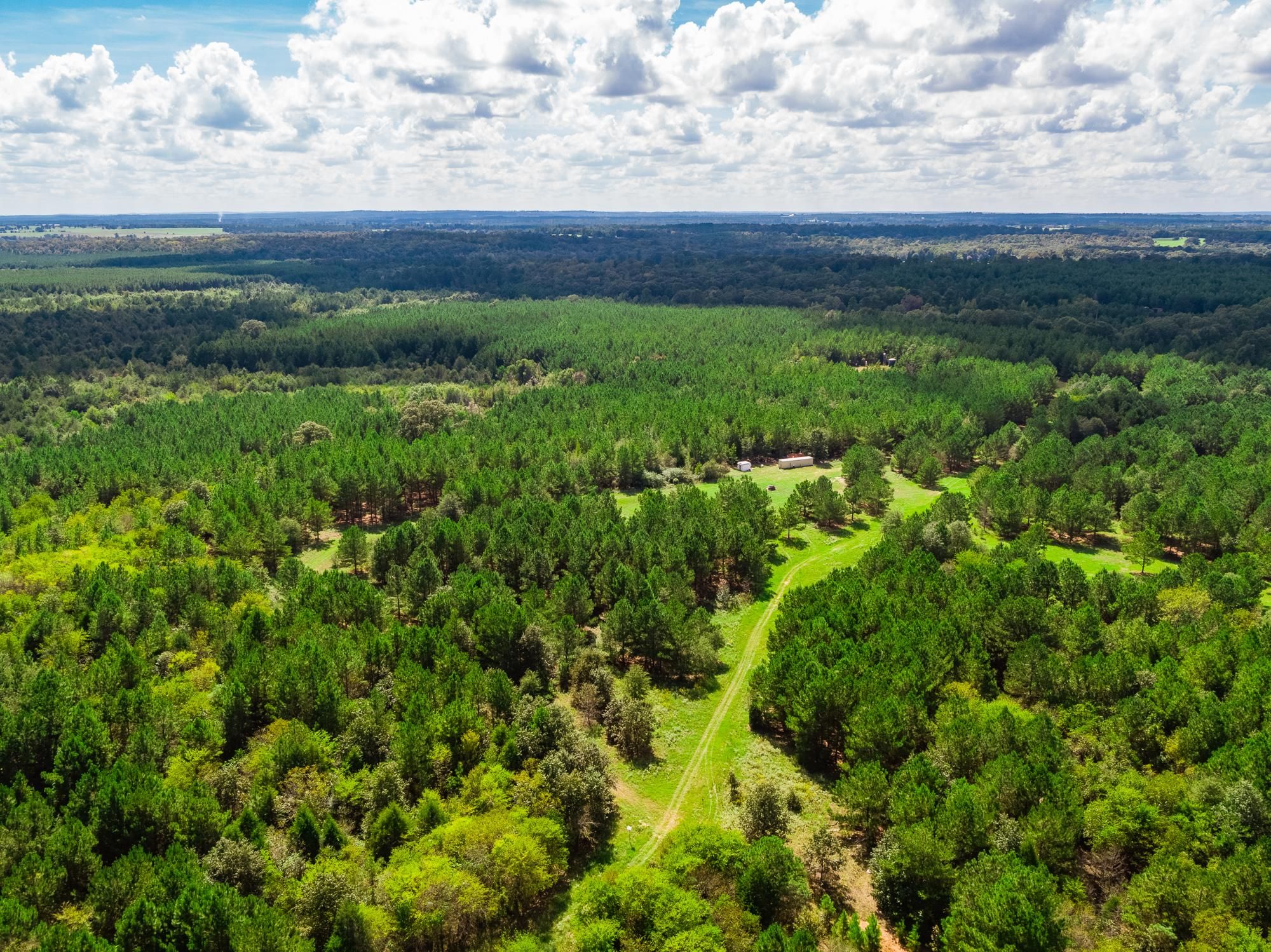 600 acres in Troup, TX, 75789 | Land.com