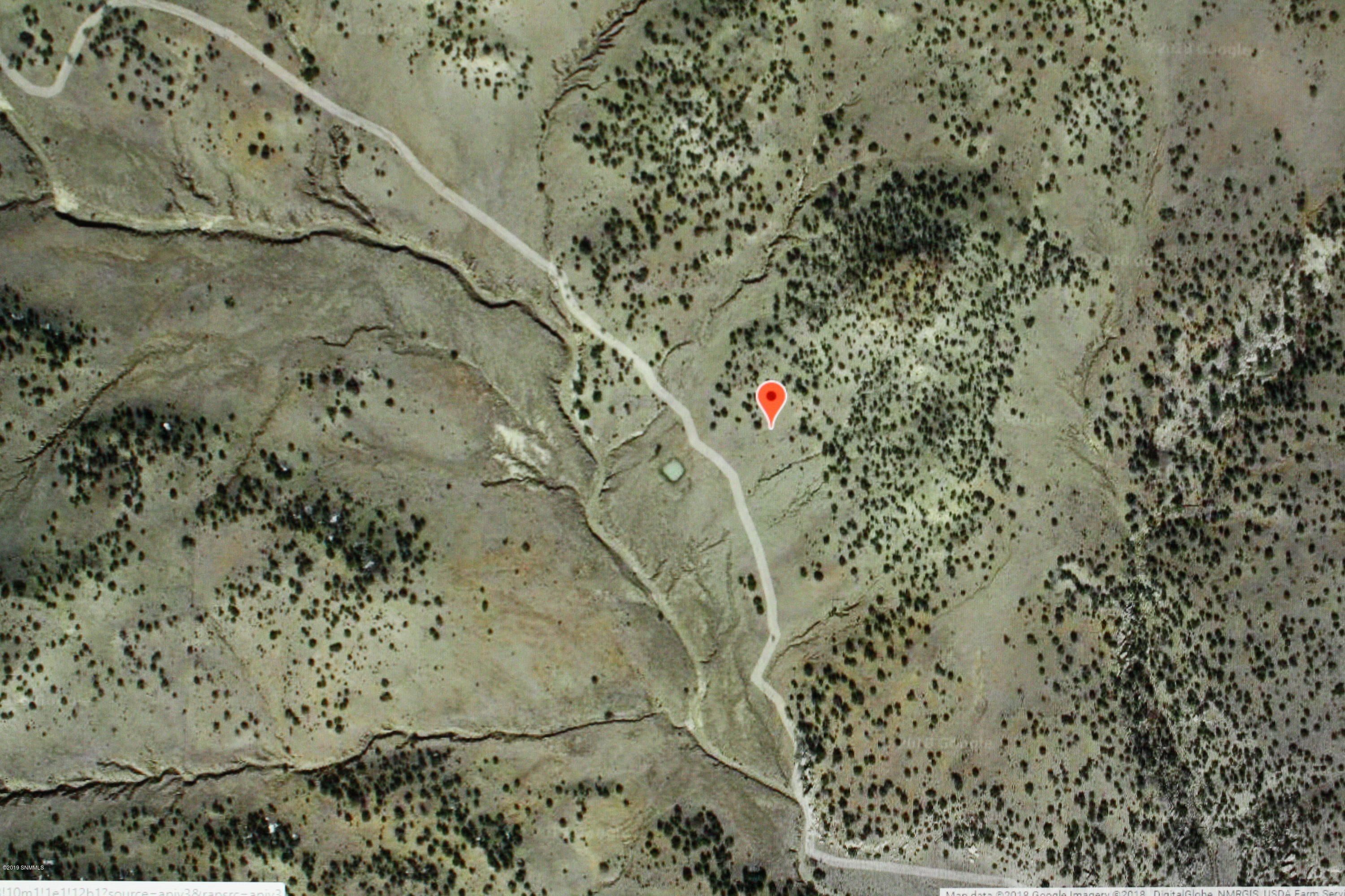 40 acres in Catron County, New Mexico