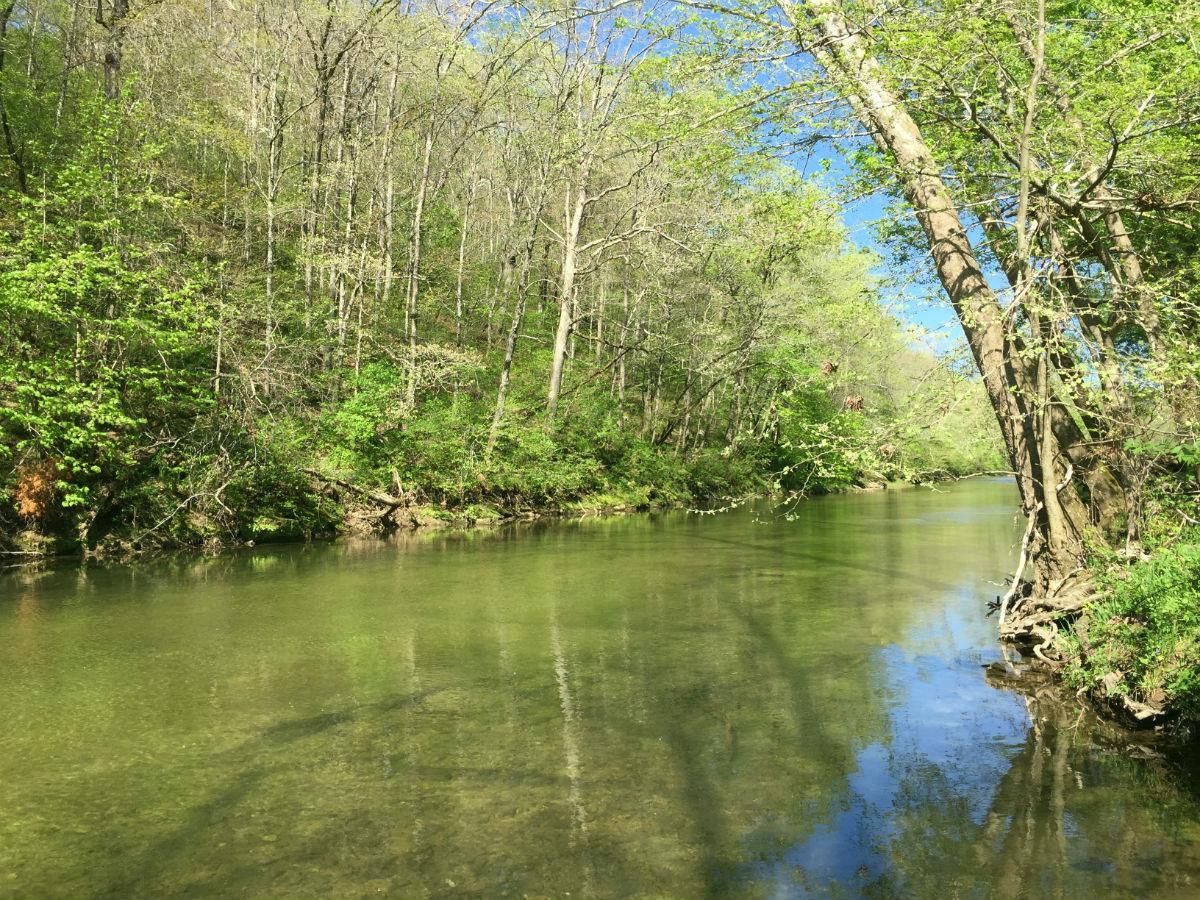 8 acres in Douglas County, Missouri