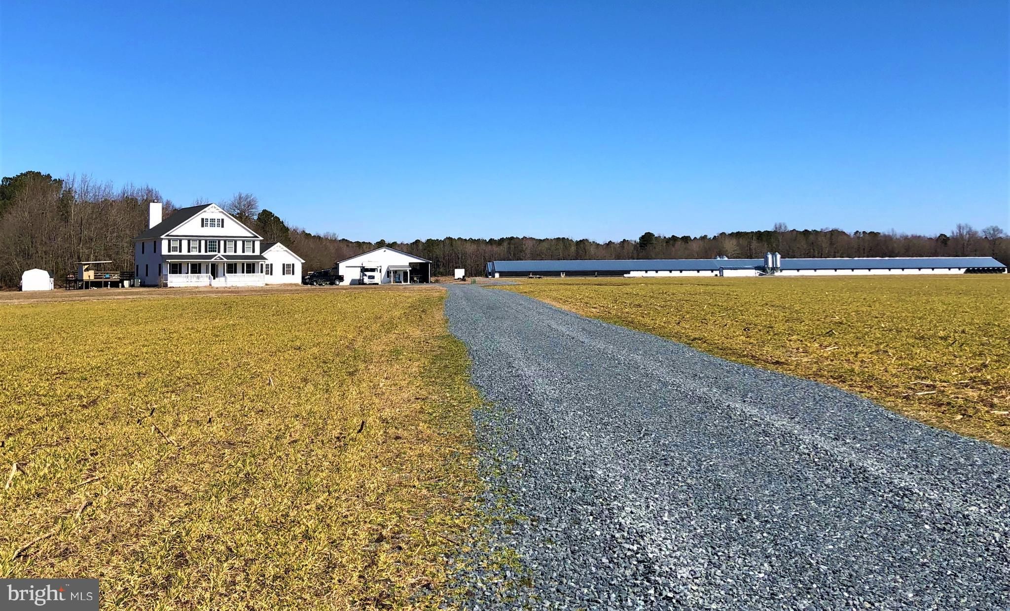 70 acres in Sussex County, Delaware