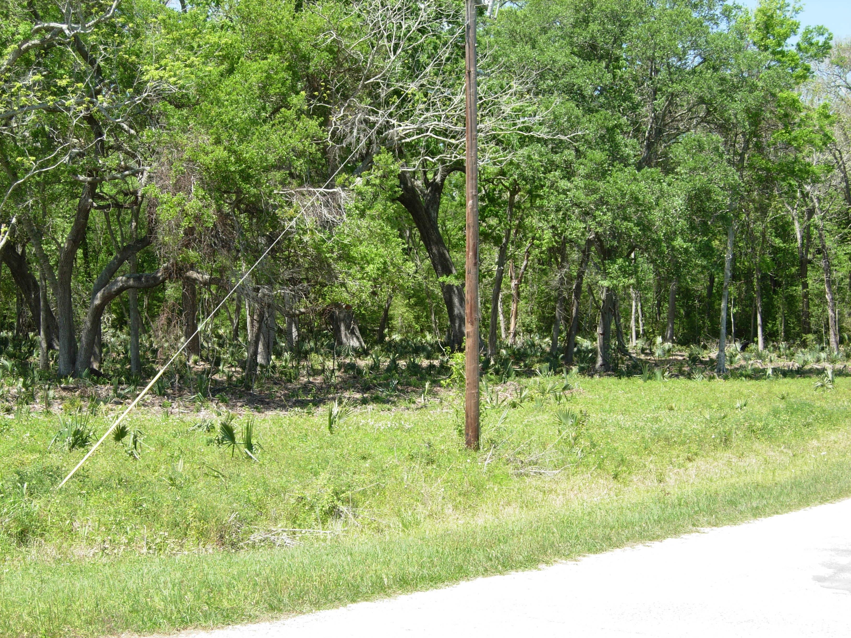 2.74 acres in Old Ocean, TX, 77480 | Land.com