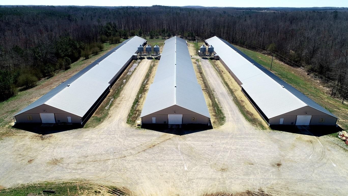 3663 County Rd 18, Hodges, AL 35571 | MLS: MRW01 | Land.com