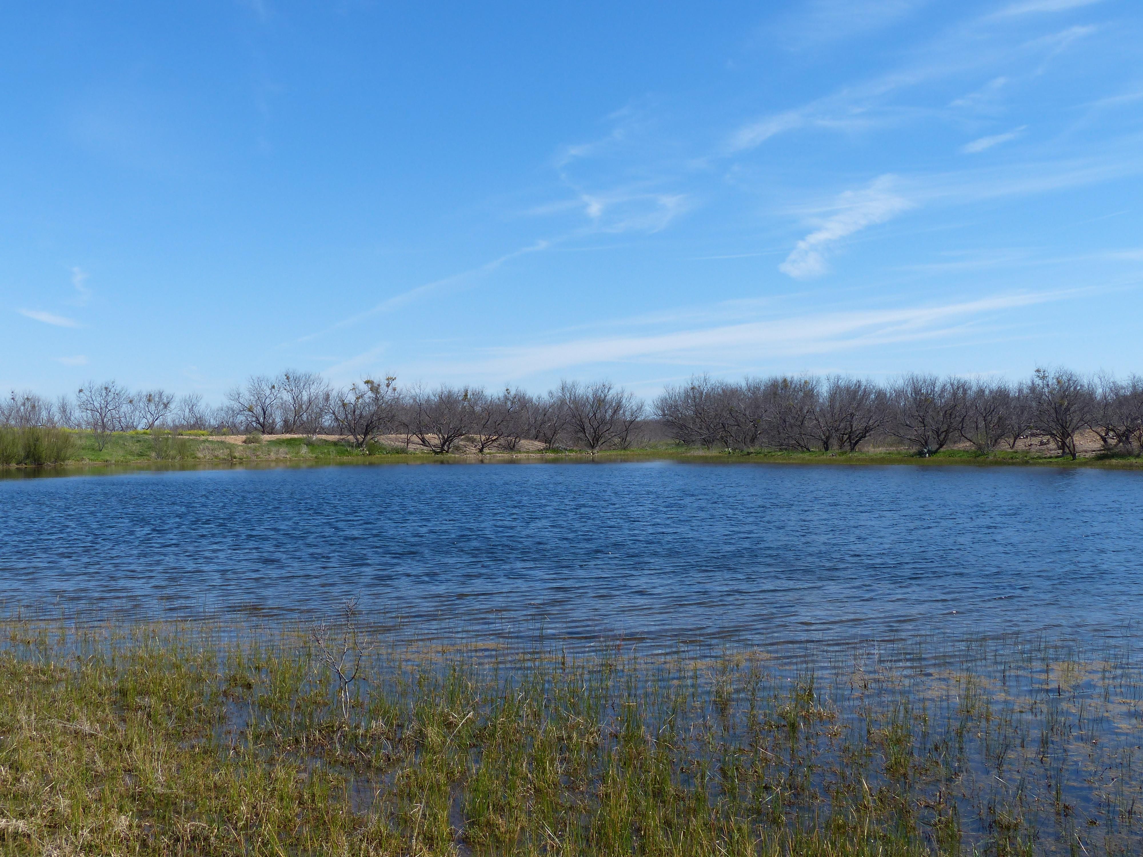 320 acres in Doole, TX, 76836 | Land.com