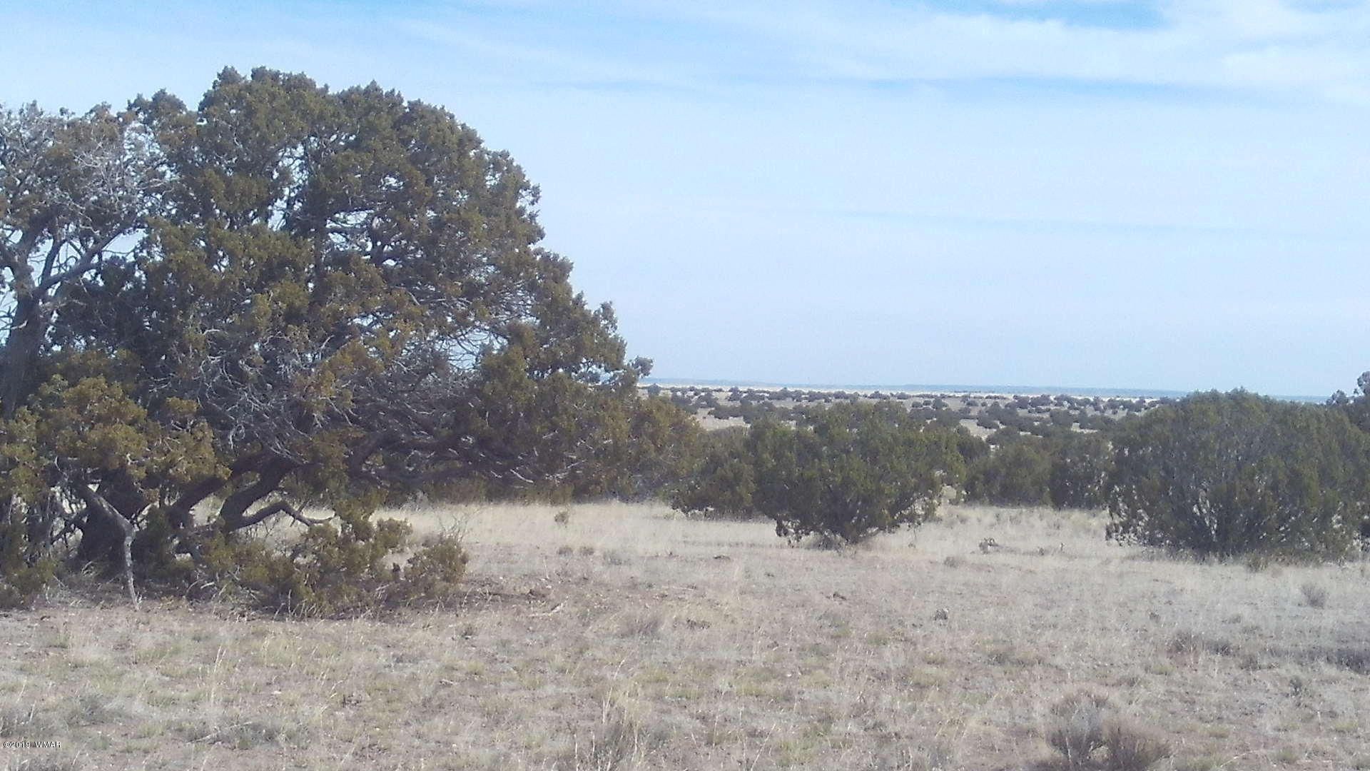 36.25 acres in Apache County, Arizona