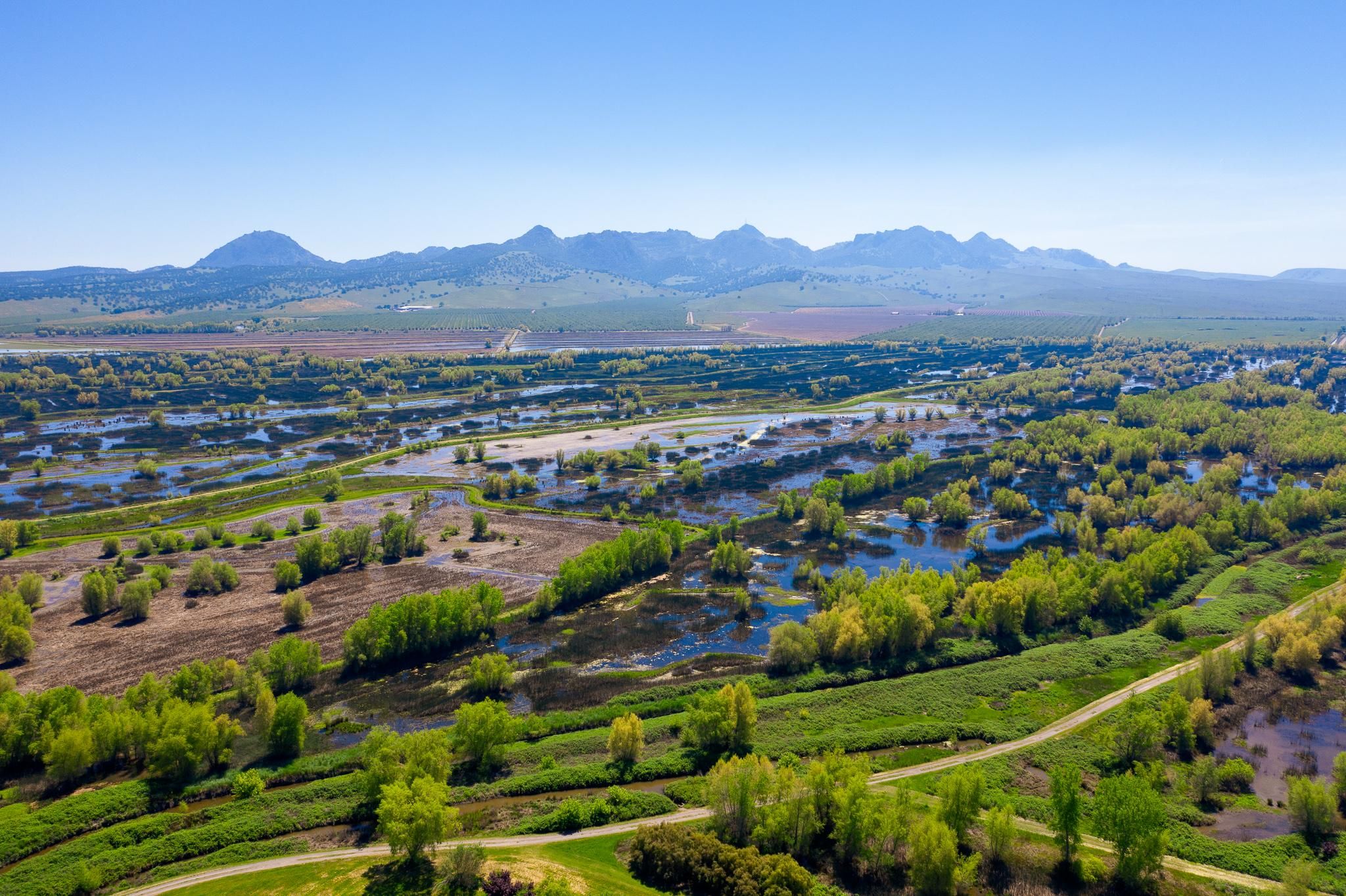 1,729 acres in Live Oak, CA, 95953 | Land.com