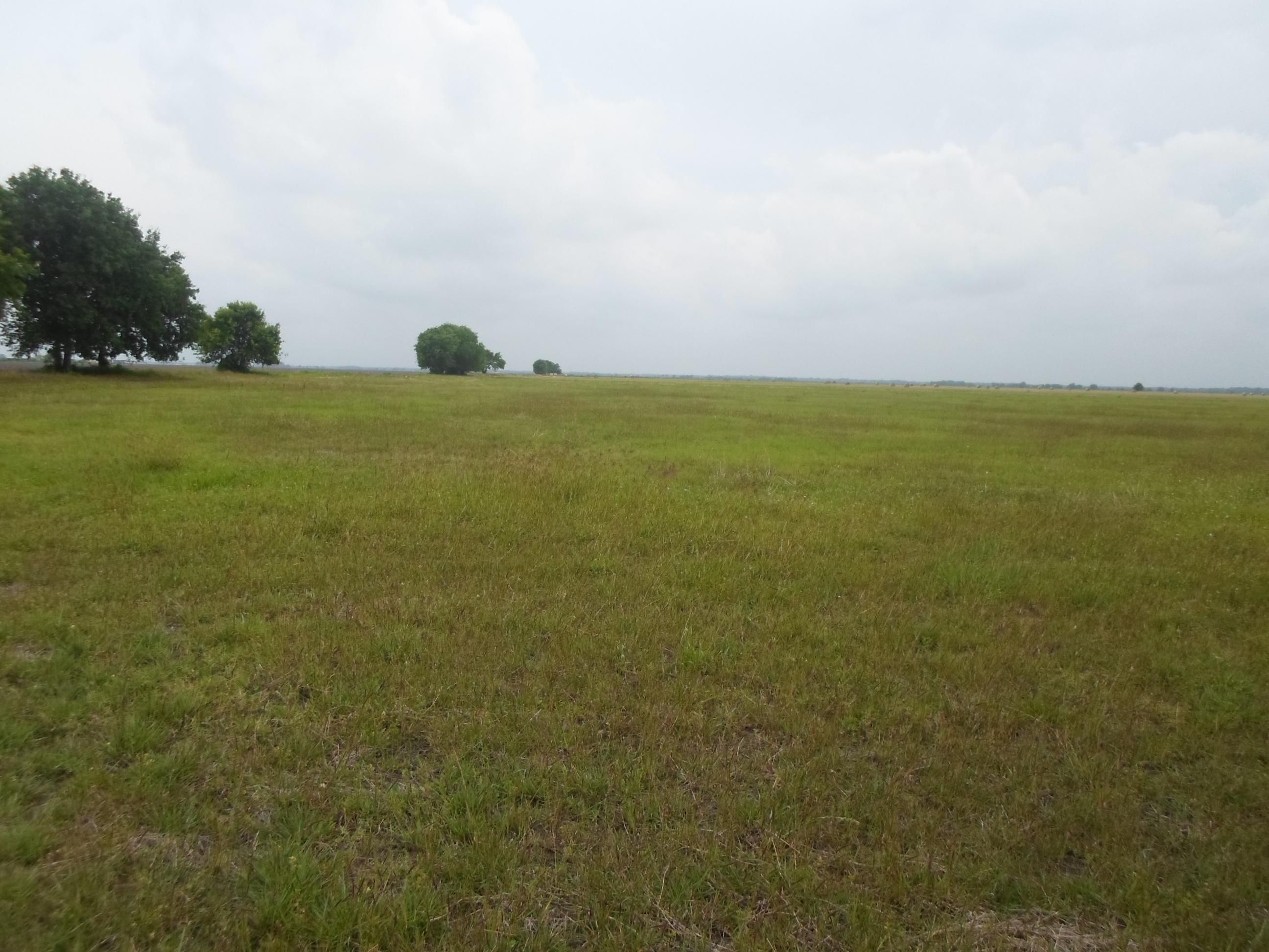 FM 111, Midfield, TX 77458 | Land.com