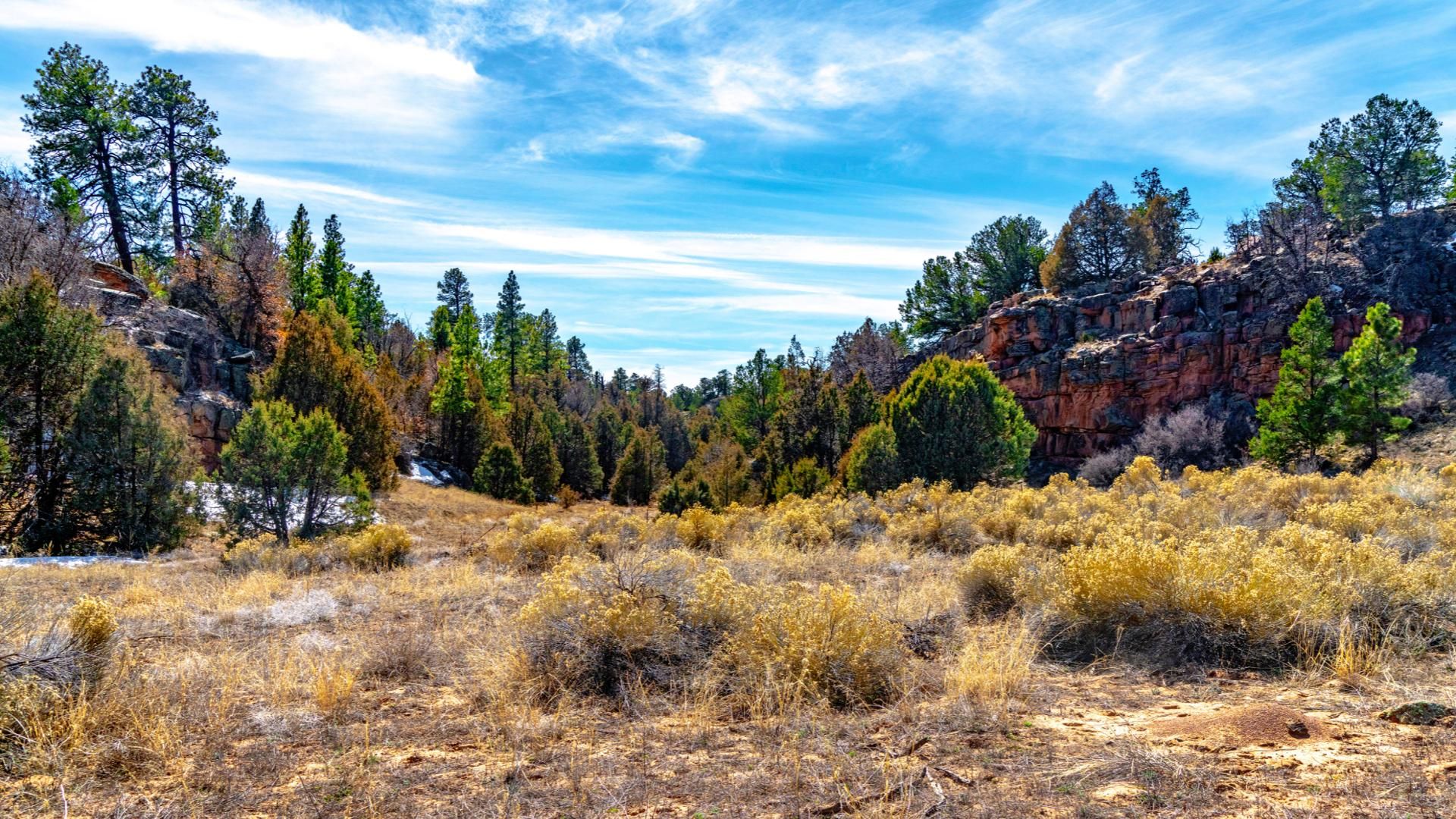 20 acres in Cibola County, New Mexico