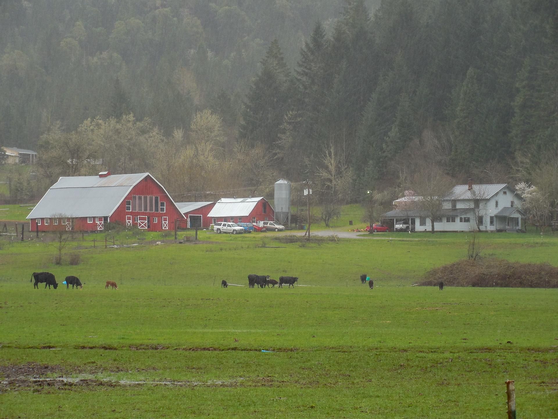 2532 Ranchero Rd, Glendale, OR 97442 | MLS: 19416968 | Land.com