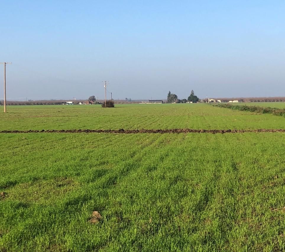 155 acres in Kings County, California