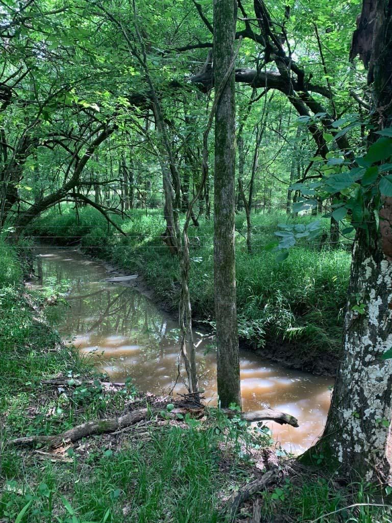 20 acres in Cunningham, TX, 75435 | Land.com