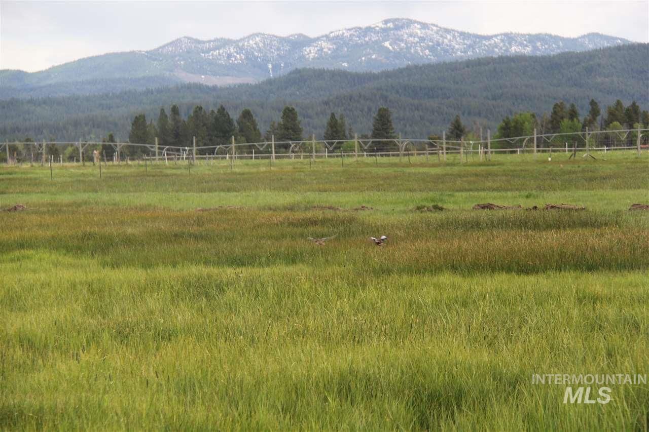 20.02 acres in Valley County, Idaho