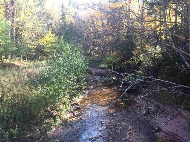 Lots 65 & 66 Silver River Reserve, Nisula, MI 49952 | Land.com