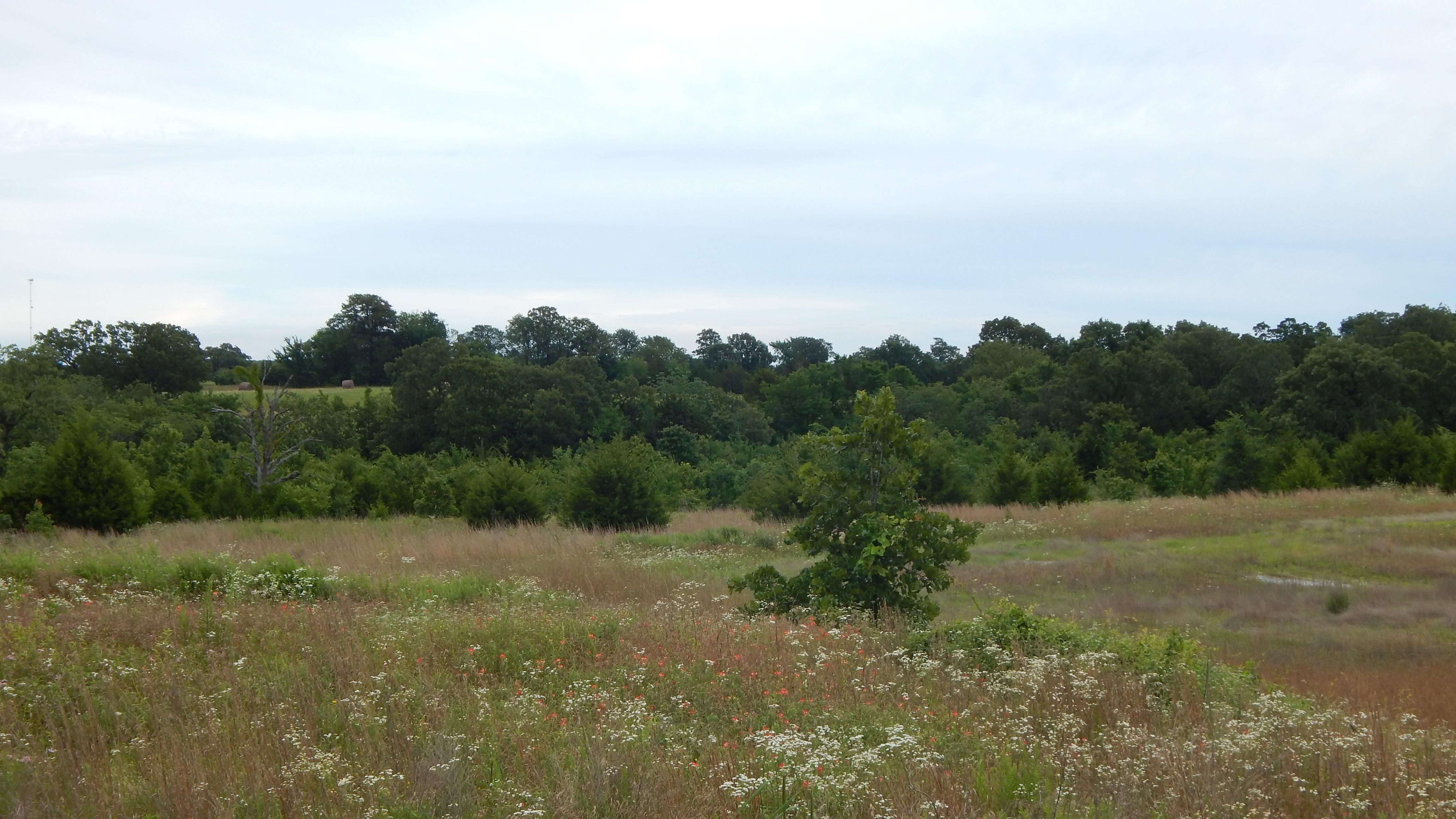 Russell Road, Stuart, OK 74501 | MLS: 1920412 | Land.com