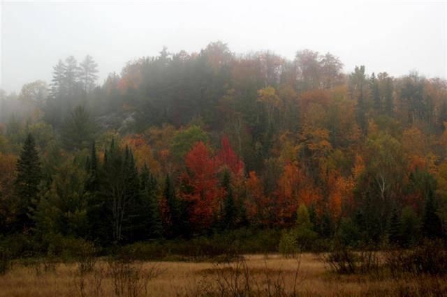 40 acres in Baraga County, Michigan